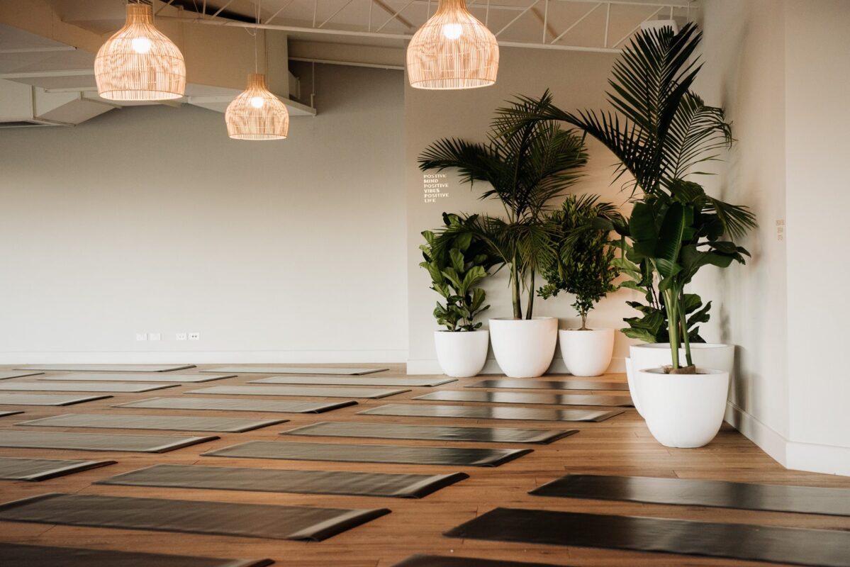 Beautiful Plant Rental in Singapore | Rent-A-Garden | Office Plants