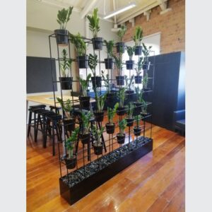 Beautiful Plant Rental in Singapore | Rent-A-Garden | Office Plants