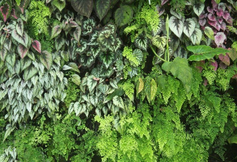 Vertical Green wall Systems Singapore | Vertical Garden
