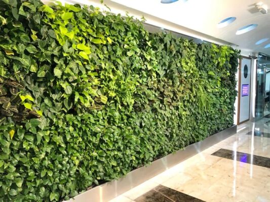 Vertical Green wall Systems Singapore | Vertical Garden