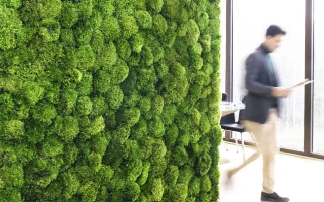 Vertical Green wall Systems Singapore | Vertical Garden