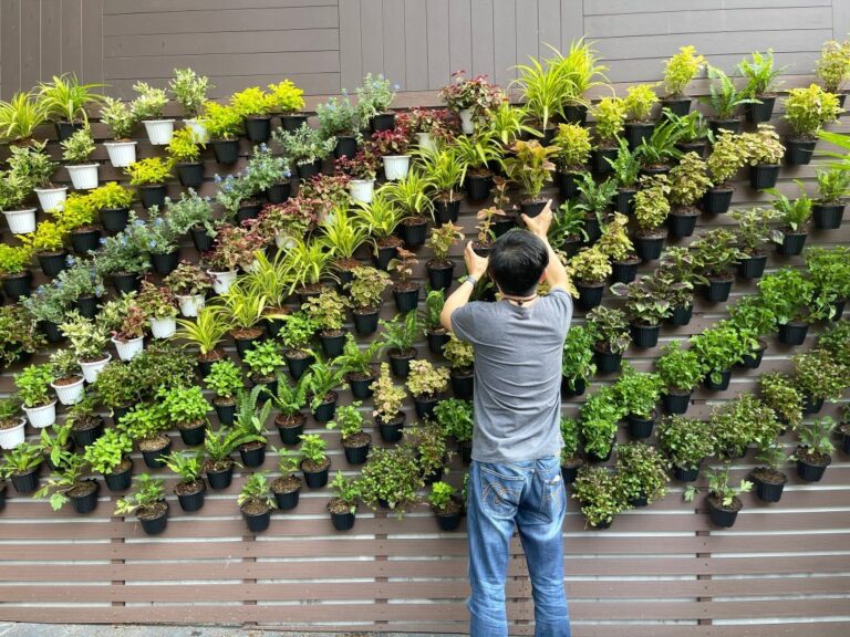 Vertical Green wall Systems Singapore | Vertical Garden